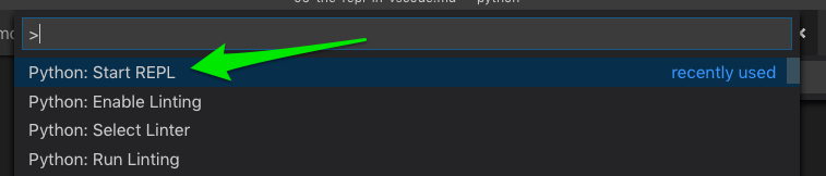Using The Repl Learn Python By Nina Zakharenko